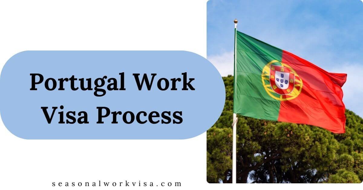 Portugal Work Visa Process 2025 - Types of Visas
