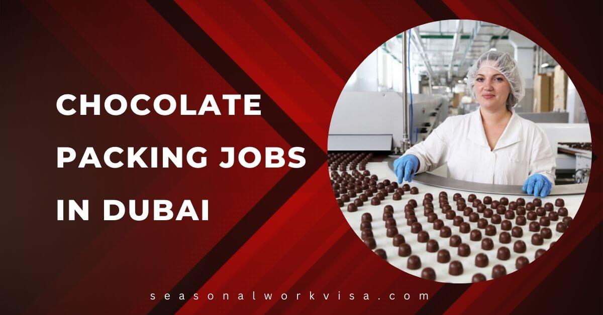 Chocolate Packing Jobs in Dubai With Visa Sponsorship