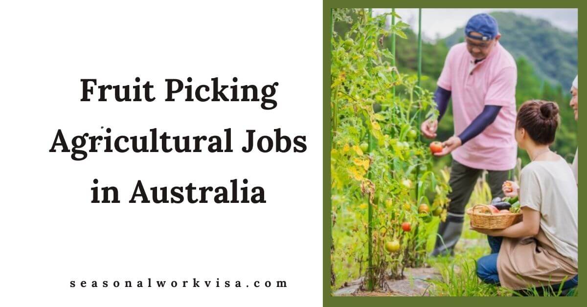 Fruit Picking Agricultural Jobs in Australia 2026