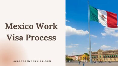 Jordan Work Visa Process 2025 - Types of Visas