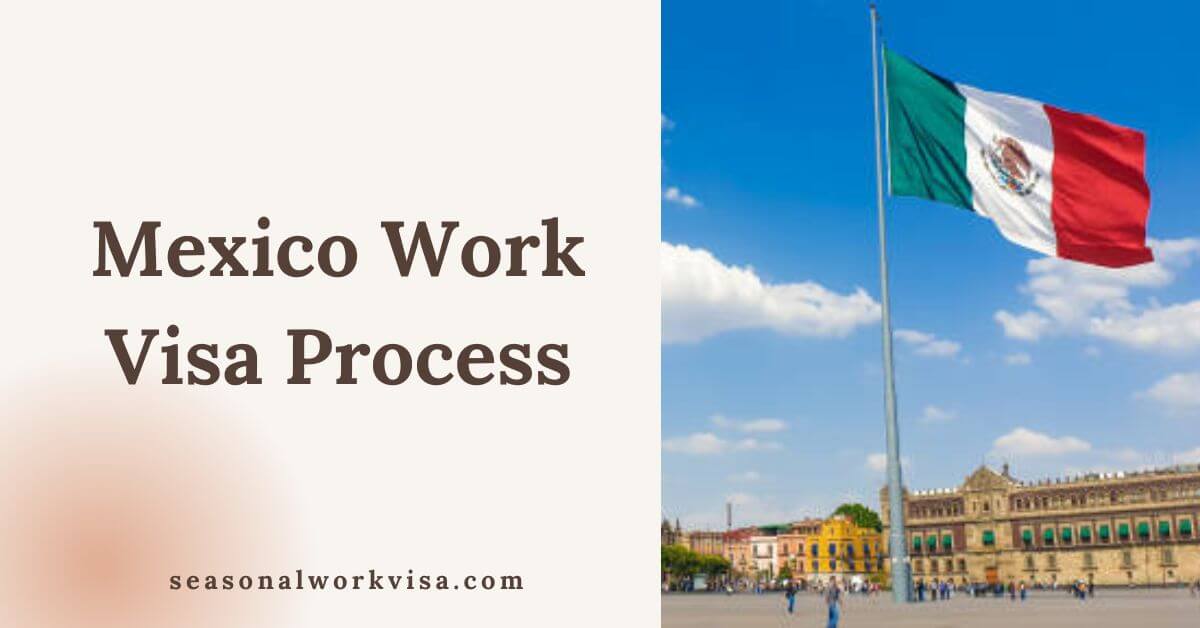 Mexico Work Visa Process 2025 - Application Process