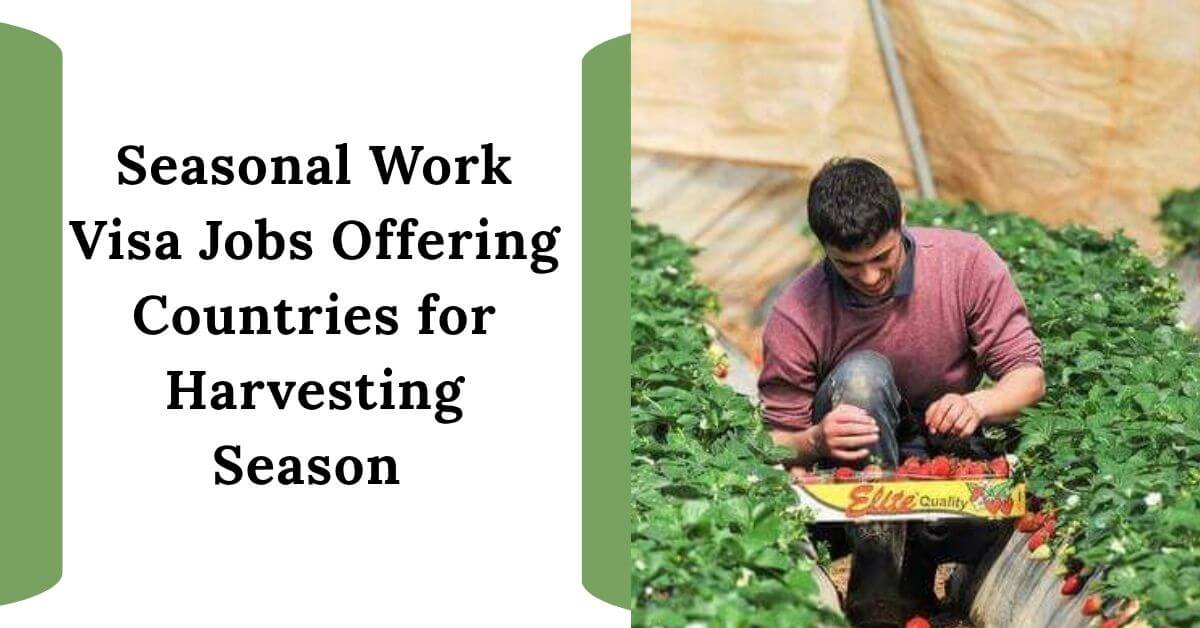 Seasonal Work Visa Jobs Offering Countries for Harvesting Season