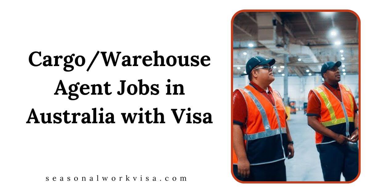Cargo/Warehouse Agent Jobs in Australia with Visa 2026