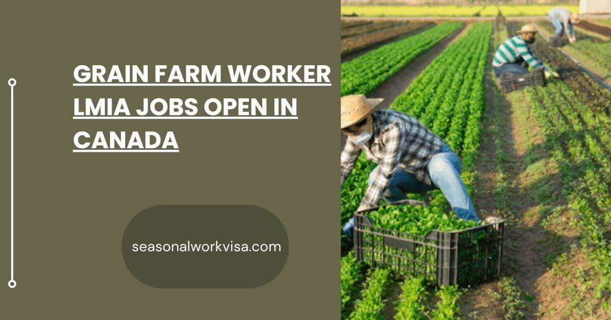 Grain Farm Worker LMIA Jobs Open in Canada 2026