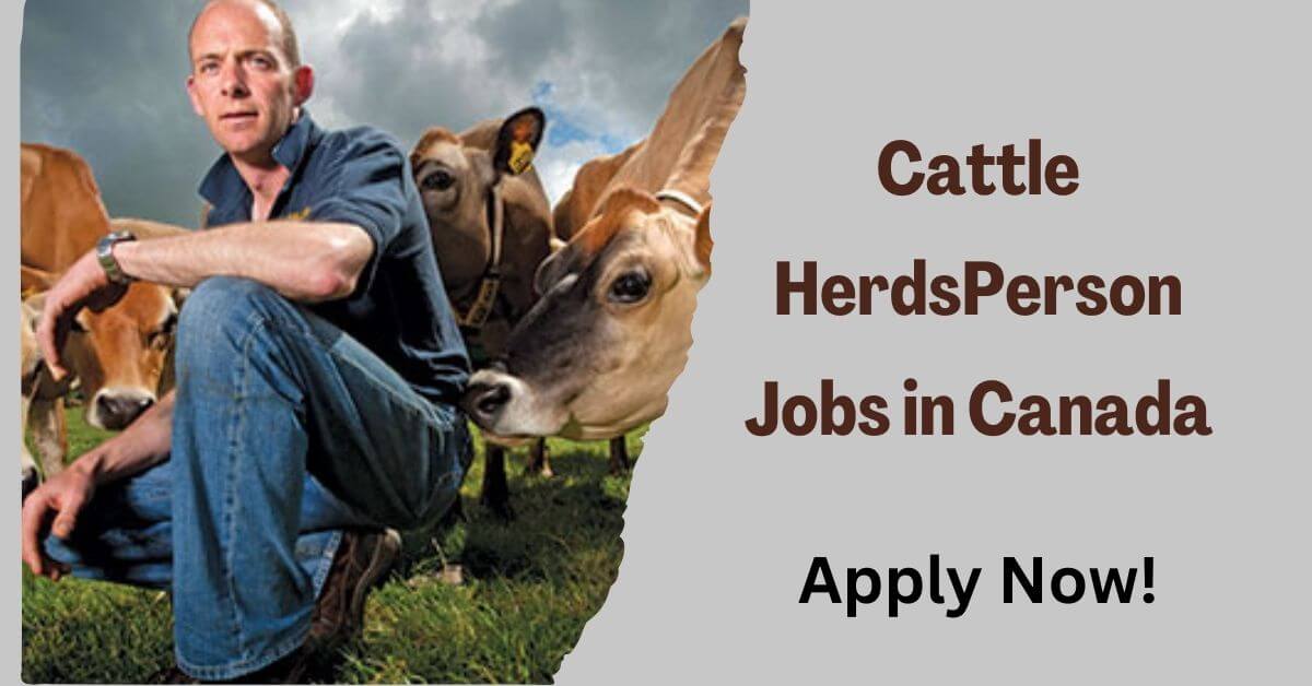 Cattle HerdsPerson Jobs in Canada 2026