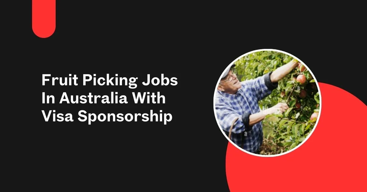 Fruit Picking Jobs In Australia With Visa Sponsorship 2026