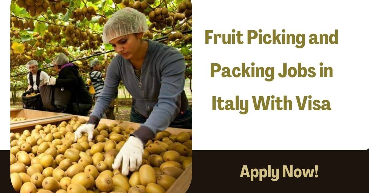 Fruit Picking and Packing Jobs in Italy With Visa 2026