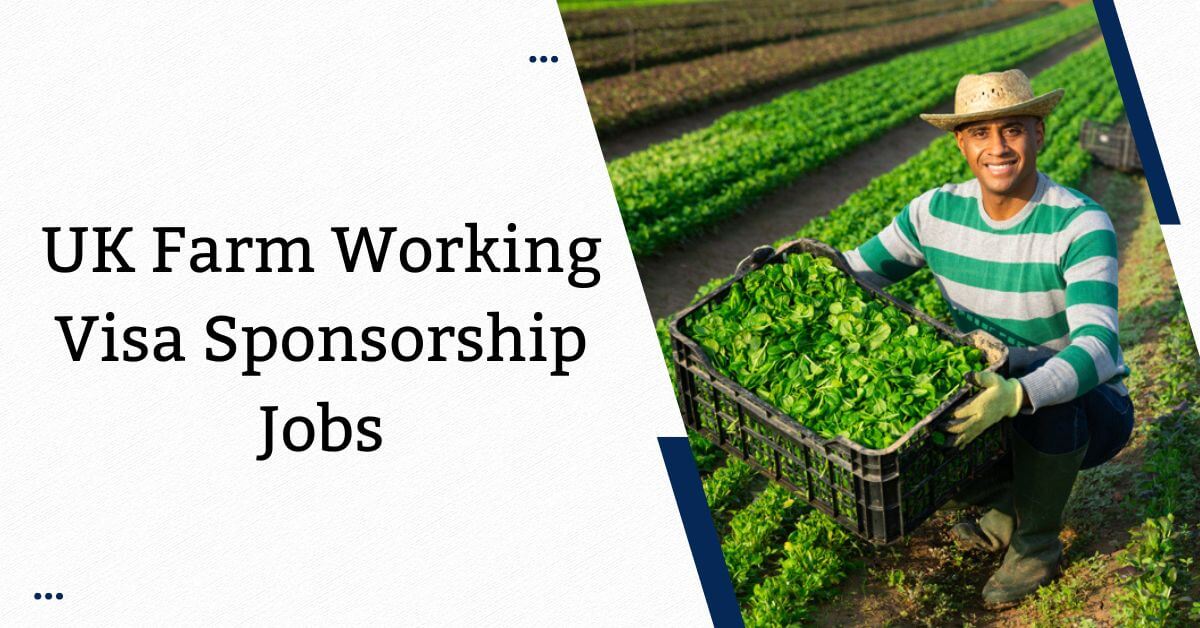 UK Farm Working Visa Sponsorship Jobs 2026 - Apply Today