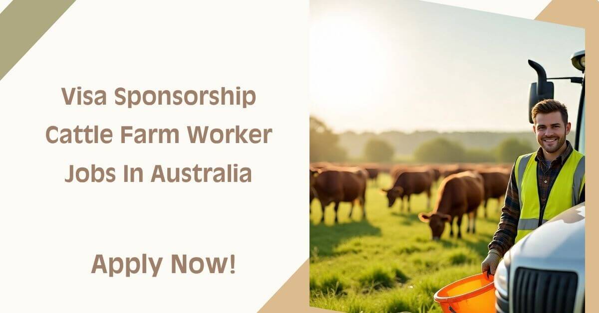 Visa Sponsorship Cattle Farm Worker Jobs In Australia 2026