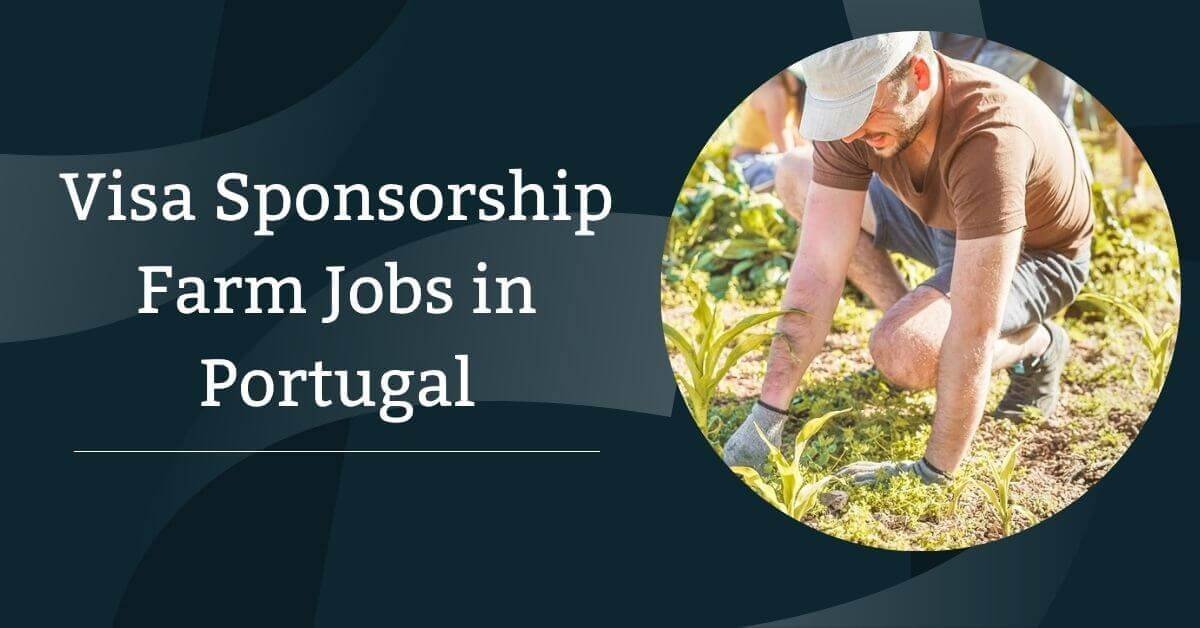 Farm Jobs in Portugal With Visa Sponsorship