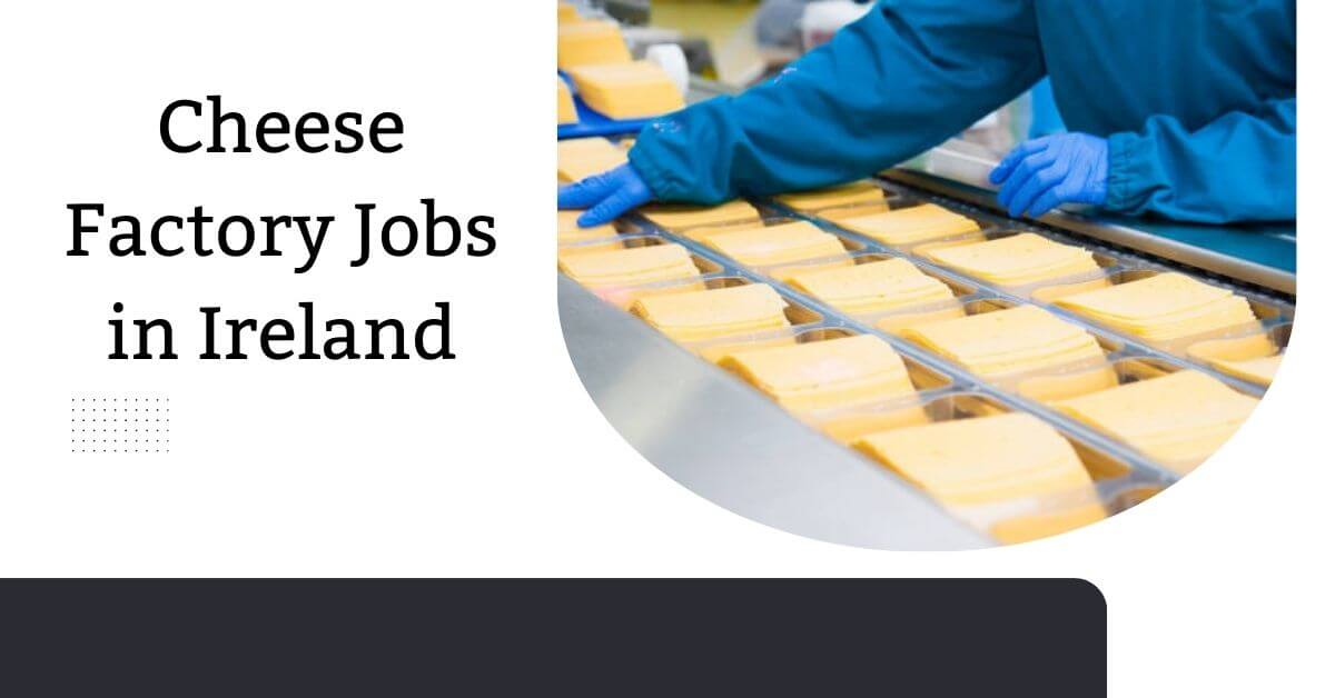 Cheese Factory Jobs in Ireland 2026 - with Visa Support