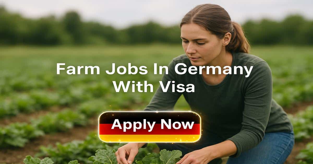 Farm Jobs In Germany With Visa Sponsorship For Foreigners