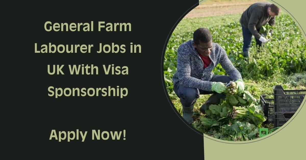 General Farm Labourer Jobs in UK With Visa Sponsorship