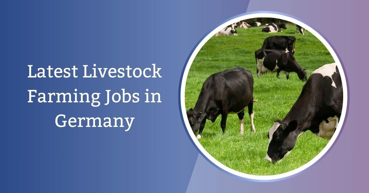 Latest Livestock Farming Jobs in Germany 2026 - Easy Apply
