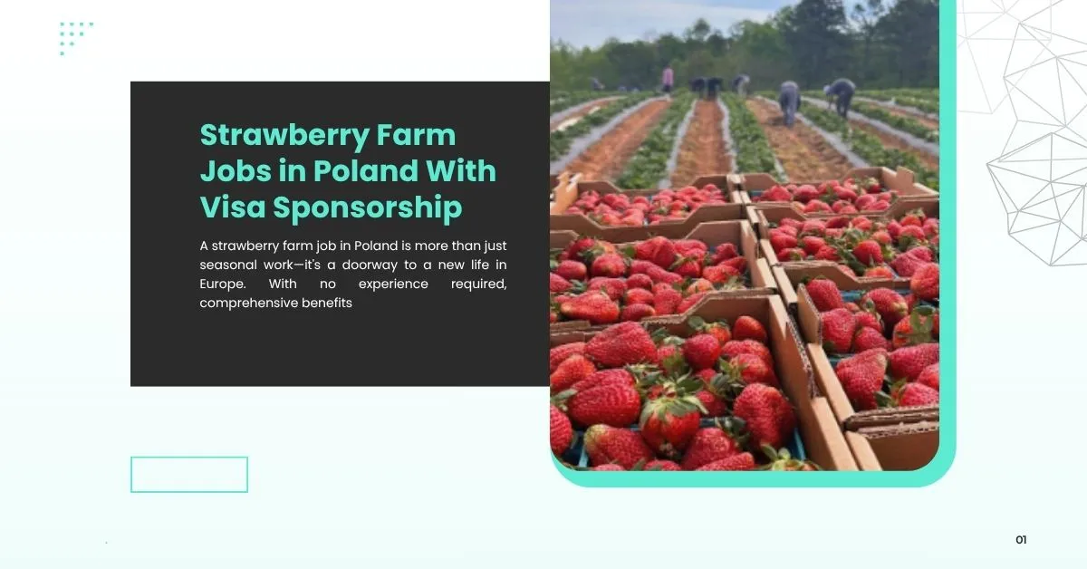 Strawberry Farm Jobs in Poland With Visa Sponsorship 2026