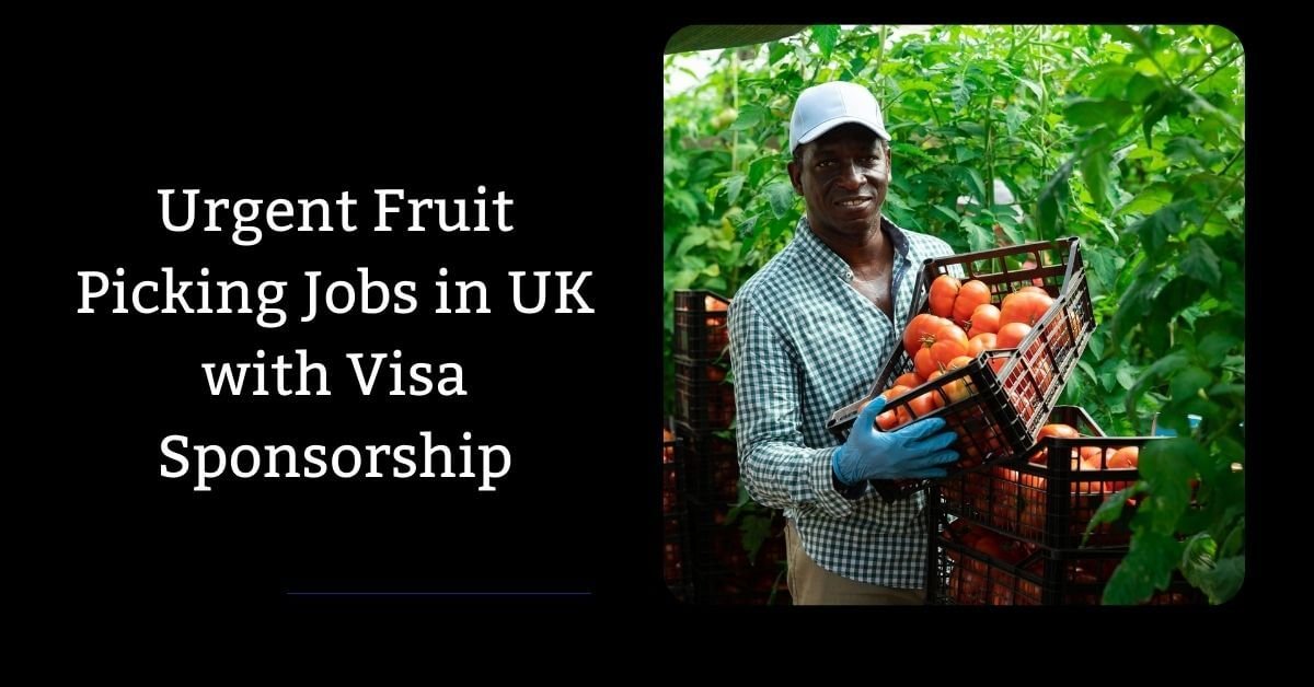 Urgent Fruit Picking Jobs in UK with Visa Sponsorship 2026