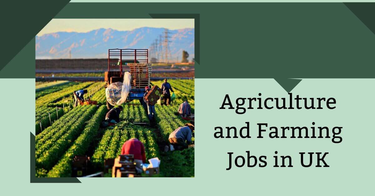 Agriculture and Farming Jobs in UK 2026
