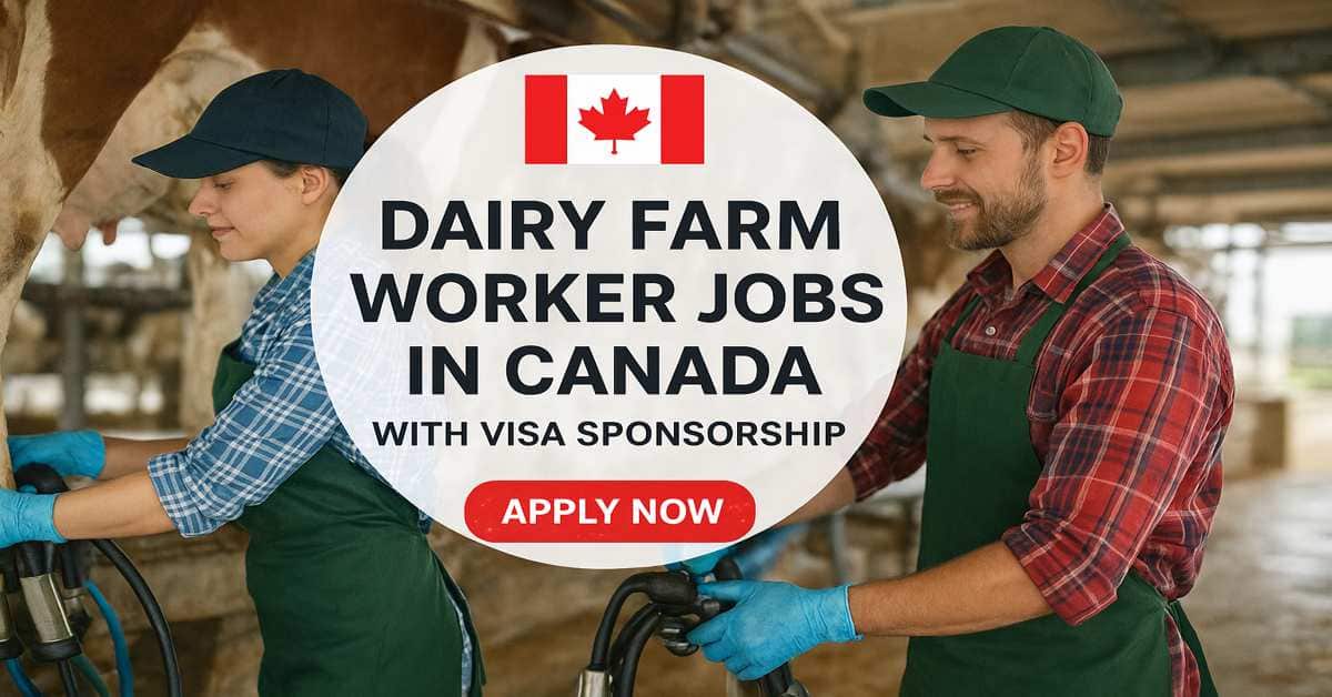 Dairy Farm Worker Jobs in Canada With Visa Sponsorship 2026