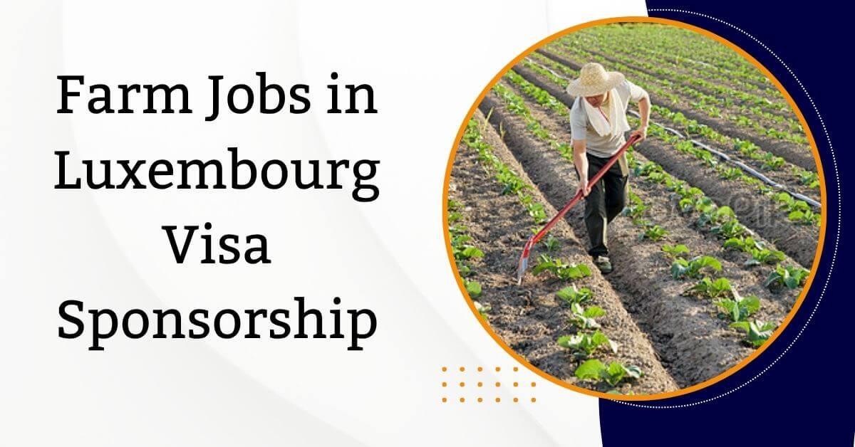 Farm Jobs in Luxembourg Visa Sponsorship 2026 - Apply Now
