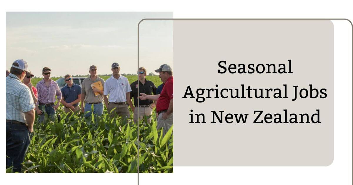 Seasonal Agricultural Jobs in New Zealand 2026