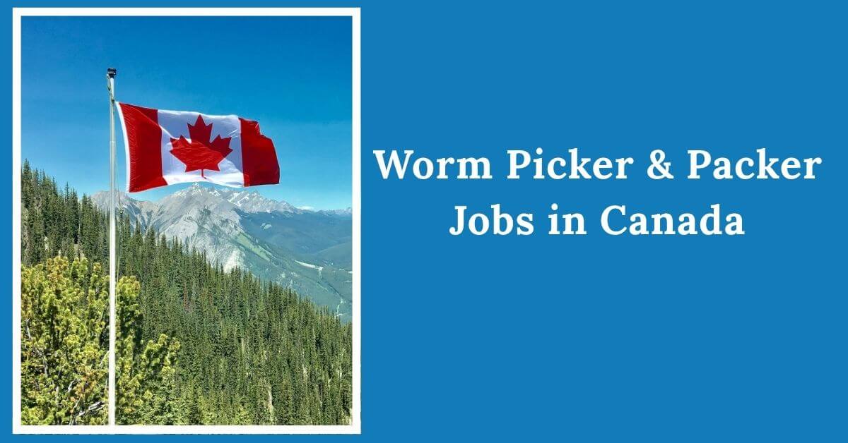 Worm Picker & Packer Jobs in Canada 2026 - No Experience Needed