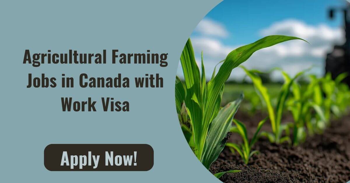 Agricultural Farming Jobs in Canada with Work Visa 2026