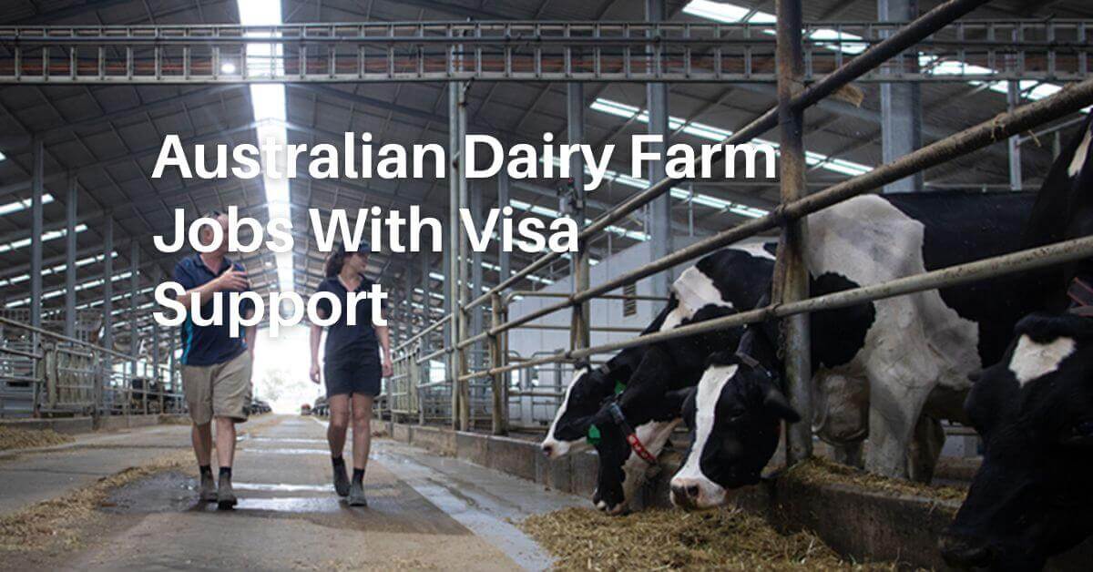 Australian Dairy Farm Jobs With Visa Support 2026