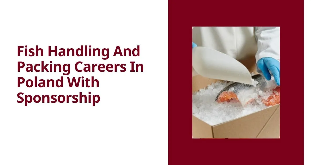 Fish Handling And Packing Careers In Poland with Sponsorship 2026