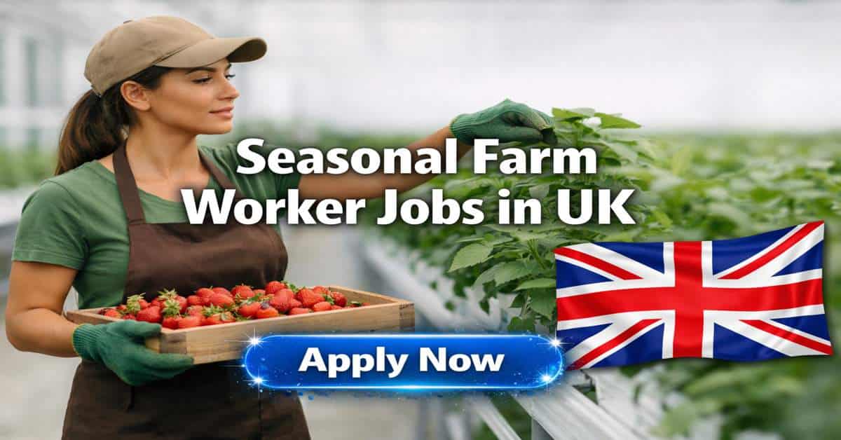 Seasonal Farm Worker Jobs in UK 2026