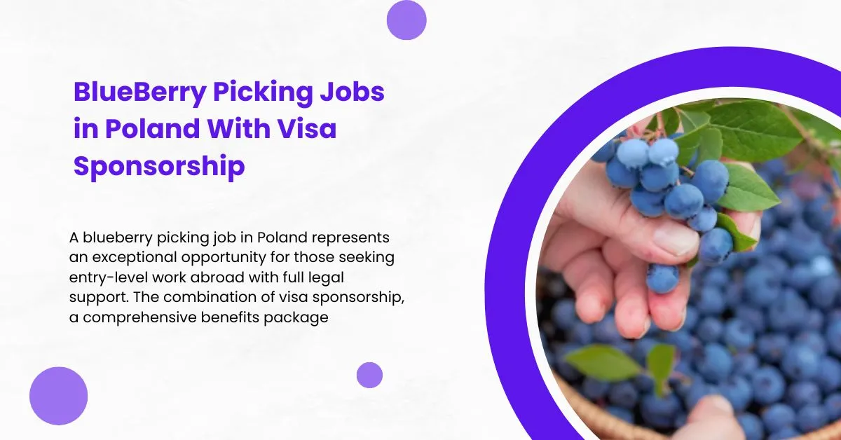 BlueBerry Picking Jobs in Poland With Visa Sponsorship