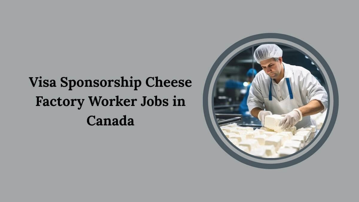Visa Sponsorship Cheese Factory Worker Jobs in Canada 2026