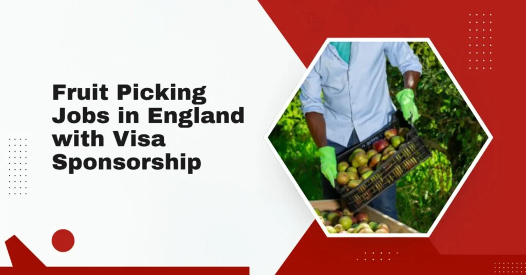 Fruit Picking Jobs in England with Visa Sponsorship 2026