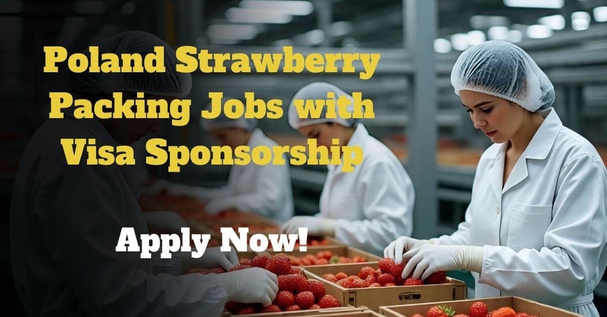 Poland Strawberry Packing Jobs with Visa Sponsorship 2026
