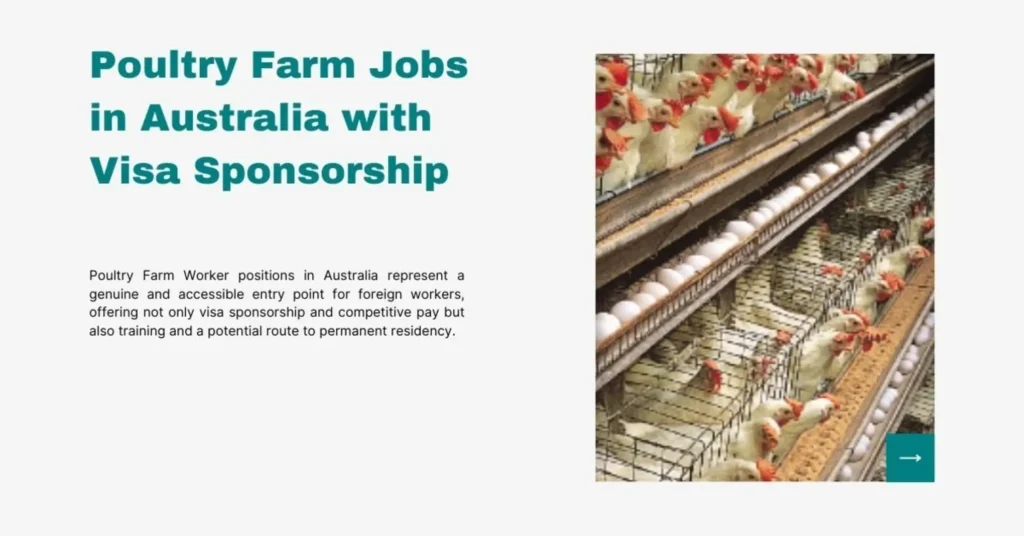 Poultry Farm Jobs in Australia with Visa Sponsorship 2026