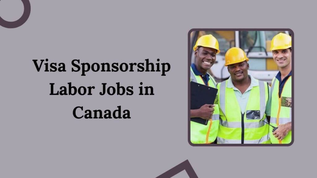 Farm Jobs in New Zealand with Visa Sponsorship 2026
