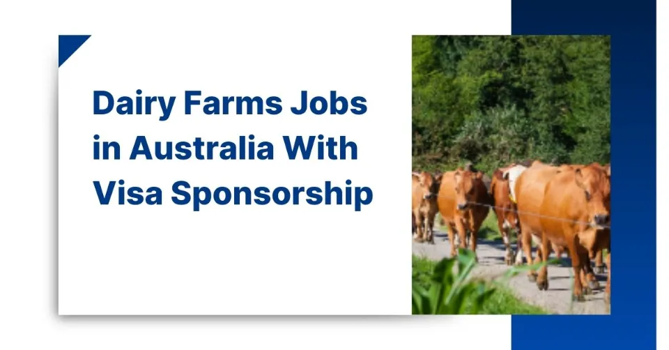 Dairy Farms Jobs in Australia With Visa Sponsorship