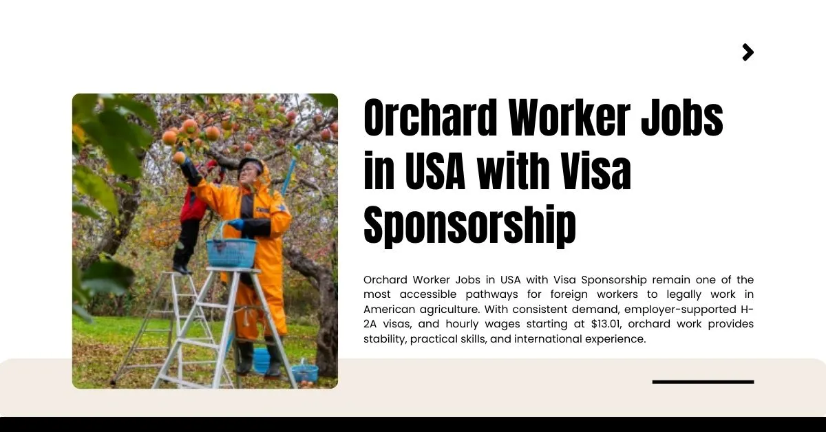 Orchard Worker Jobs in USA with Visa Sponsorship
