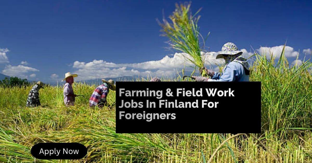 Farming & Field Work Jobs In Finland For Foreigners 2026