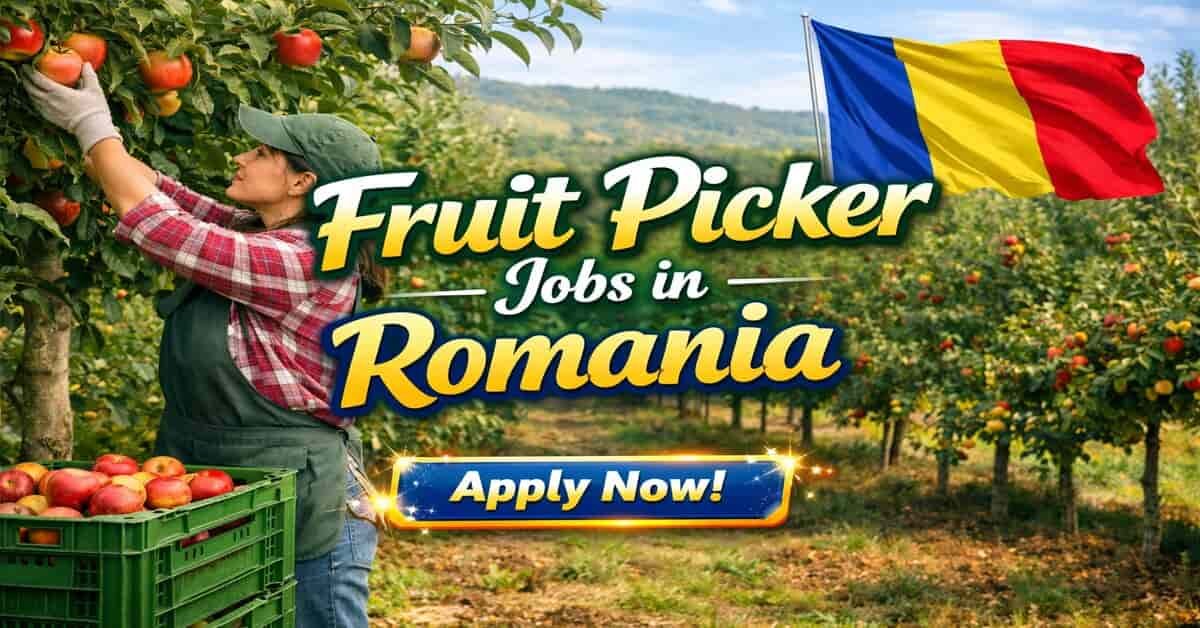 Fruit Picker Jobs in Romania 2026