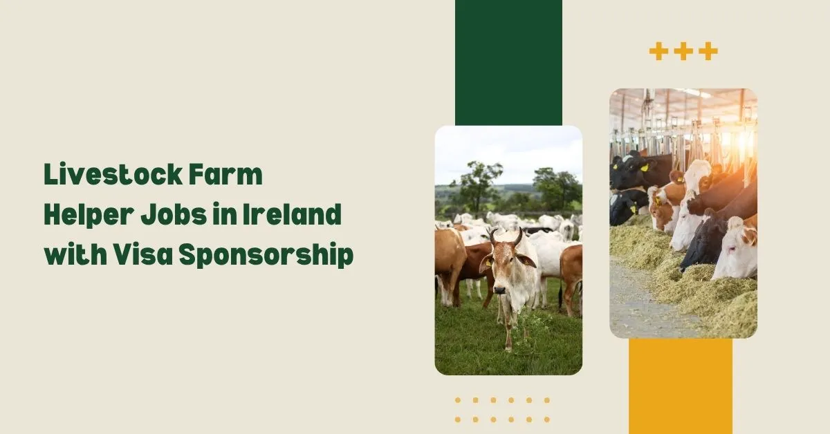 Livestock Farm Helper Jobs in Ireland with Visa Sponsorship