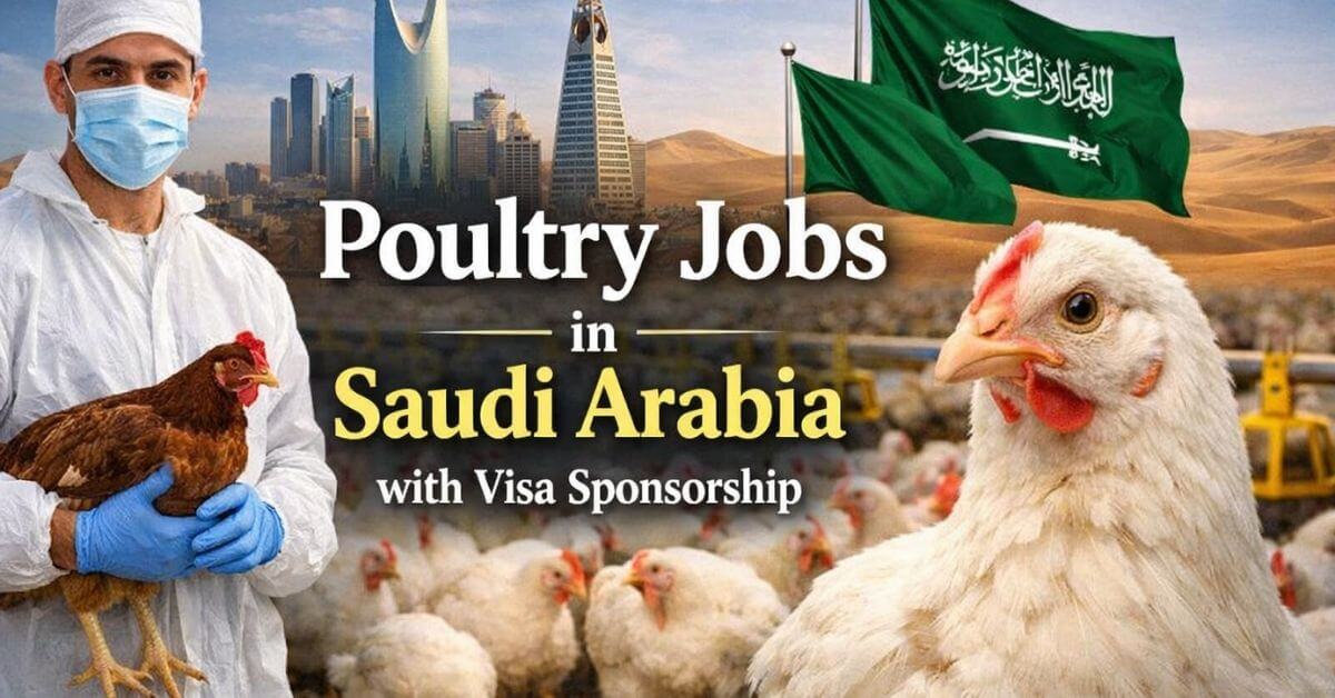 Poultry Jobs in Saudi Arabia with Visa Sponsorship 2026